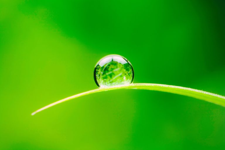 Centralised vs. Federated vs. Hybrid: Choosing the Right Data ...